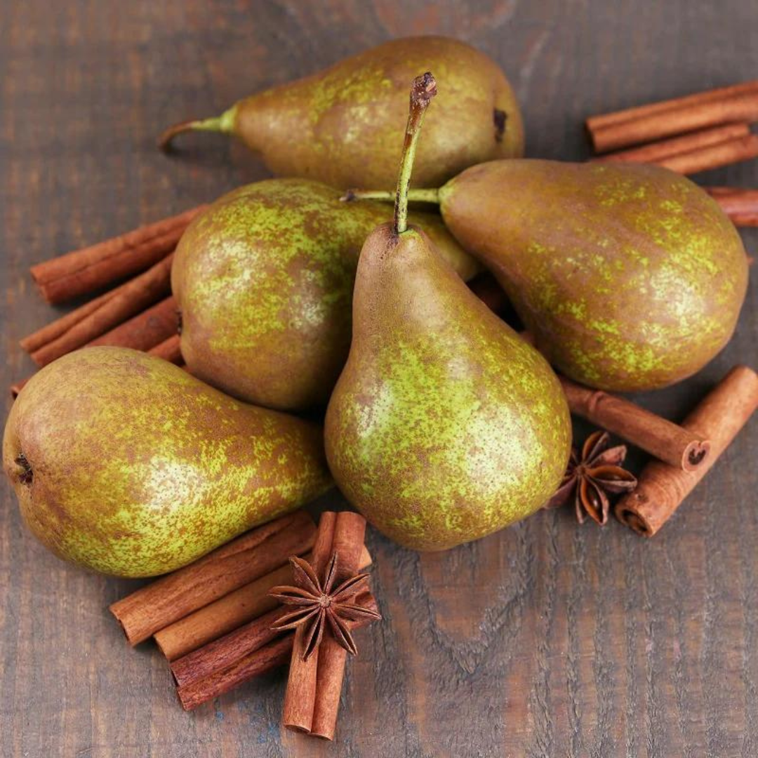 Cape Ann Olive Oil - Cinnamon Pear